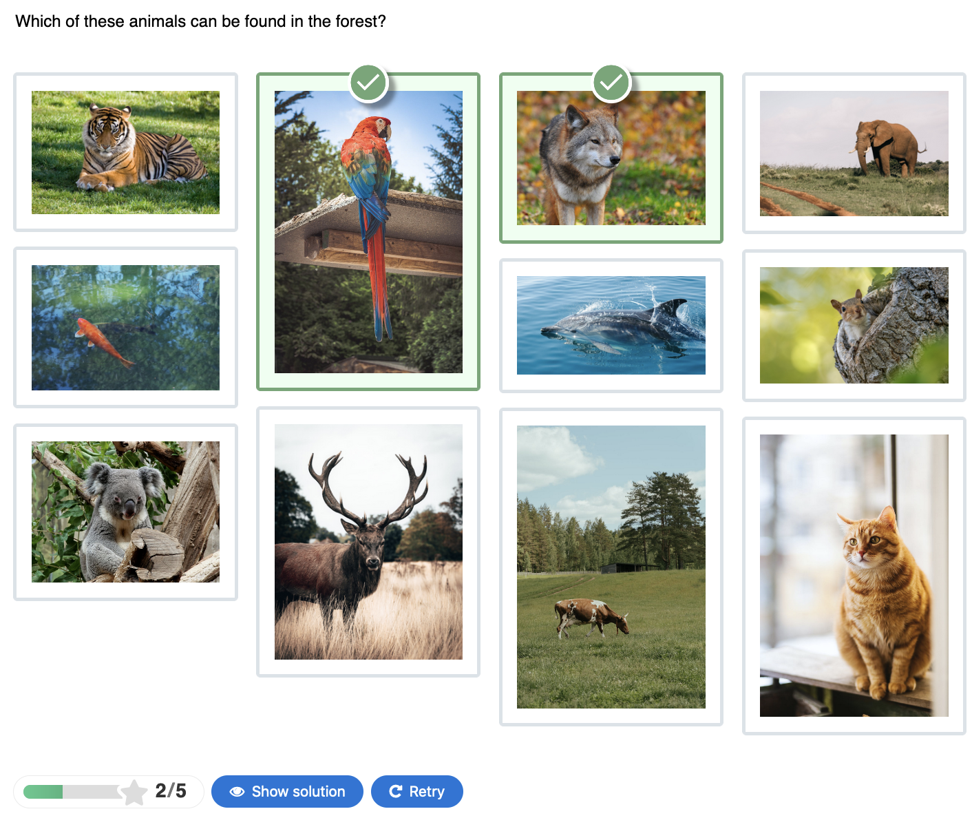 Use the Activity content type in H5P – Education Express