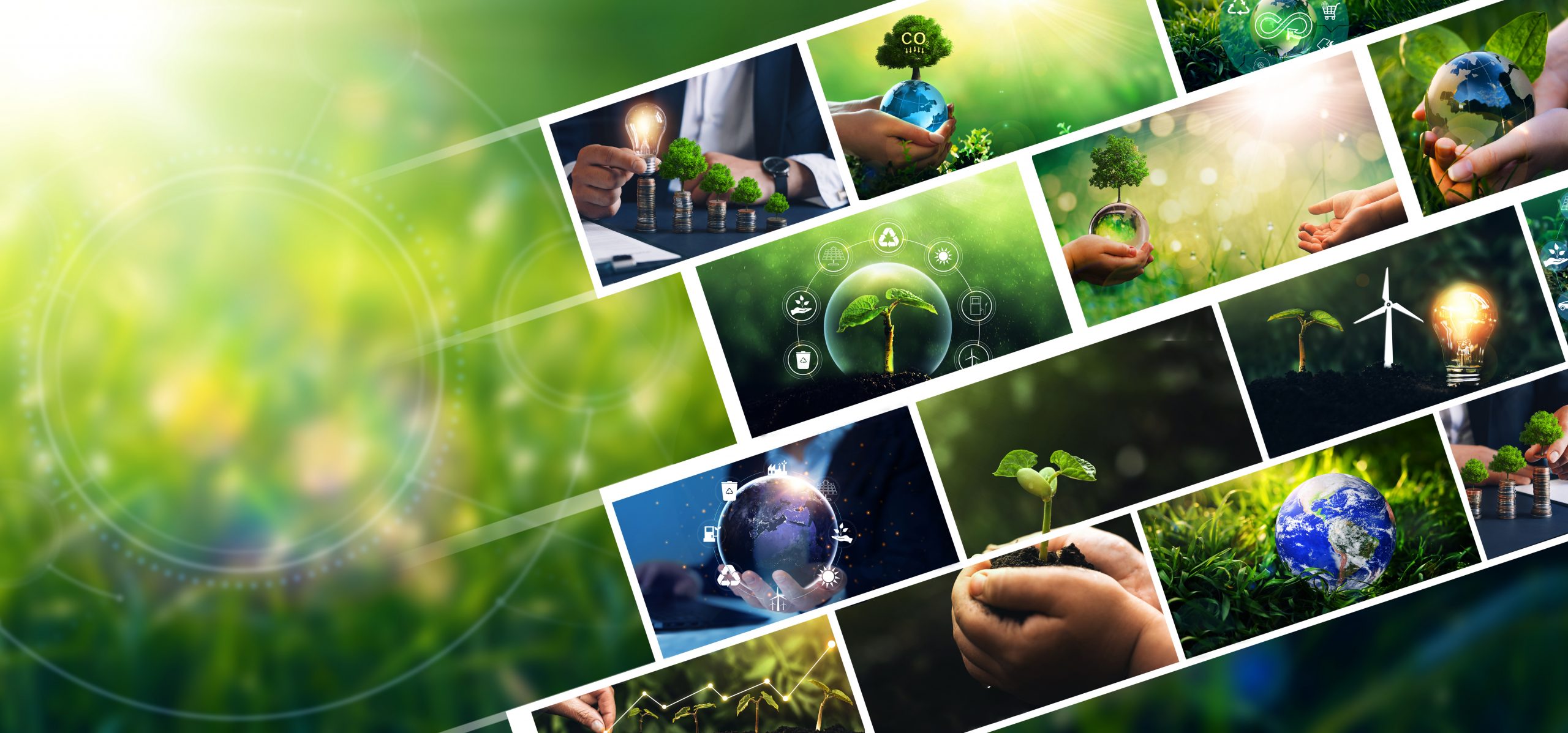 Integrated goals: where do SDGs align in curriculum? - LX at UTS